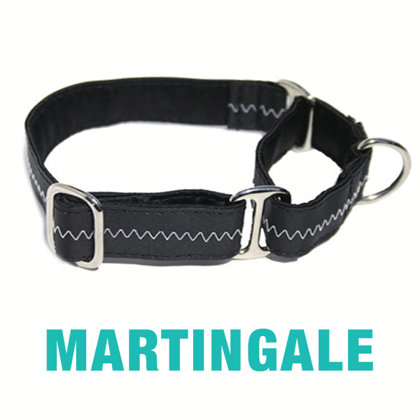 Option: Martingale Collar - Classic Hound Collar Company