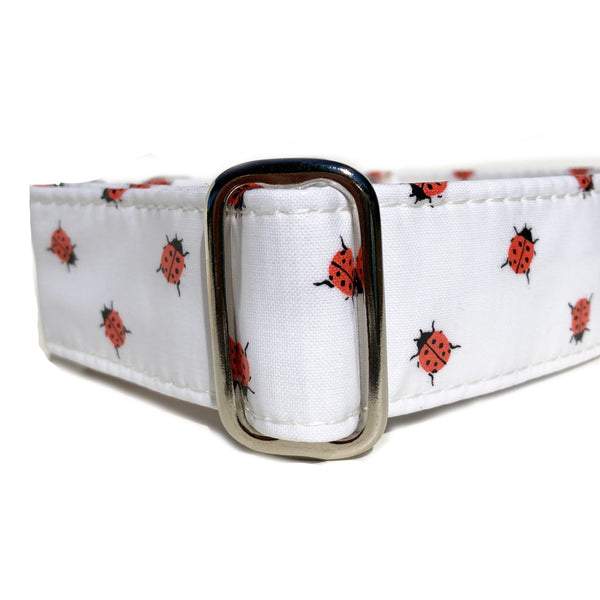 Ladybug Mudproof Collar - Classic Hound Collar Company