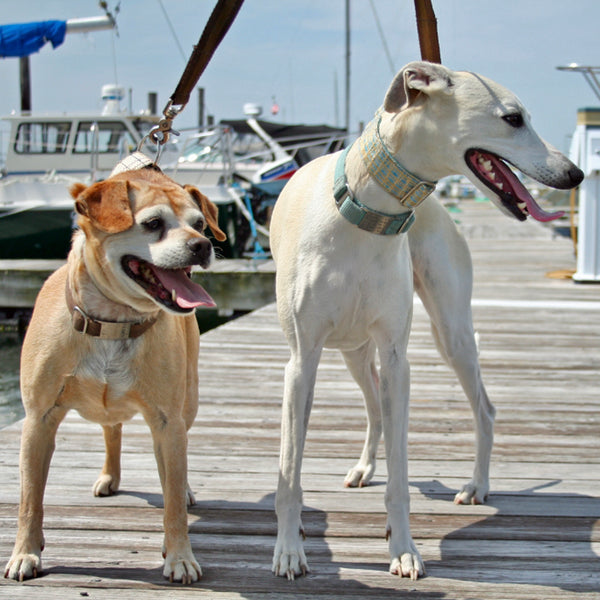 All Leashes - Classic Hound Collar Company